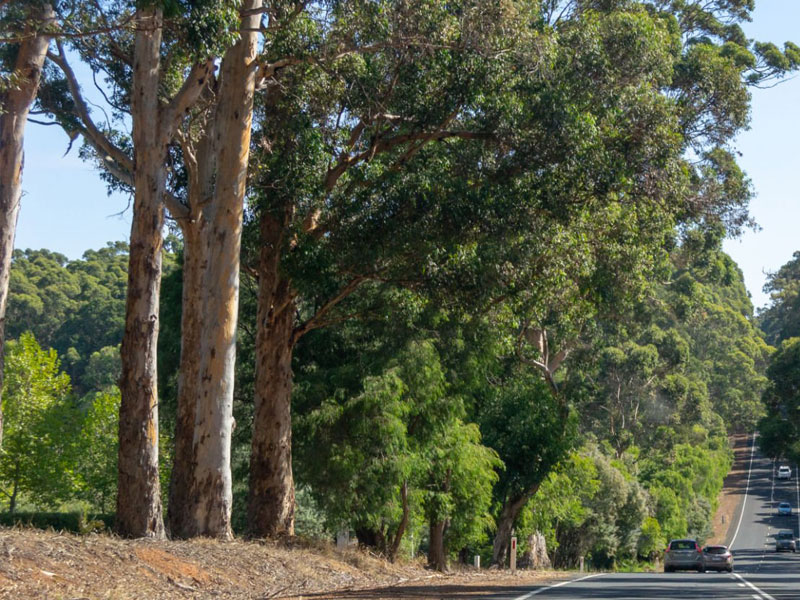 [Land for Sale] Cowaramup Industrial Estate, Cowaramup | OpenLot